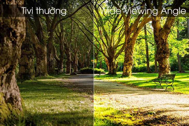 Dynamic Tone Mapping là công nghệ gì, có đặc điểm gì nổi bật?